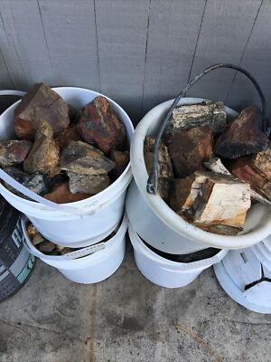 Central Oregon Jasper, Petrified Wood, Agate & Misc Rough 10 lbs Lot | eBay