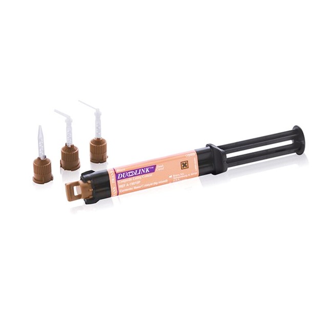 BISCO DuoLink A-19010p General Purpose Resin Cement Post Core 8 G for ...