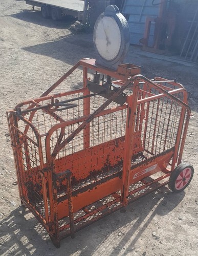 Ritchie Lamb/pig weigh scales, IAE, Bateman | eBay UK
