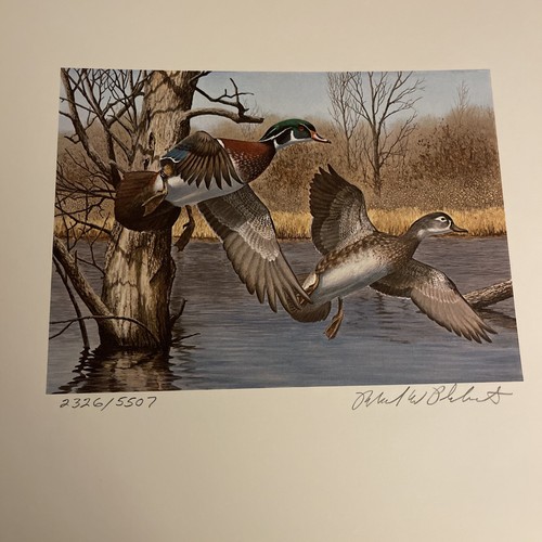 1983 NEW HAMPSHIRE State Duck Stamp Print Robert Plasschaert with Stamp ...