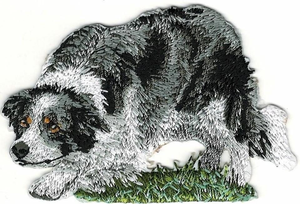 2 1/8" x 3 1/8" Border Collie Full Body Dog Breed on Grass Embroidered ...