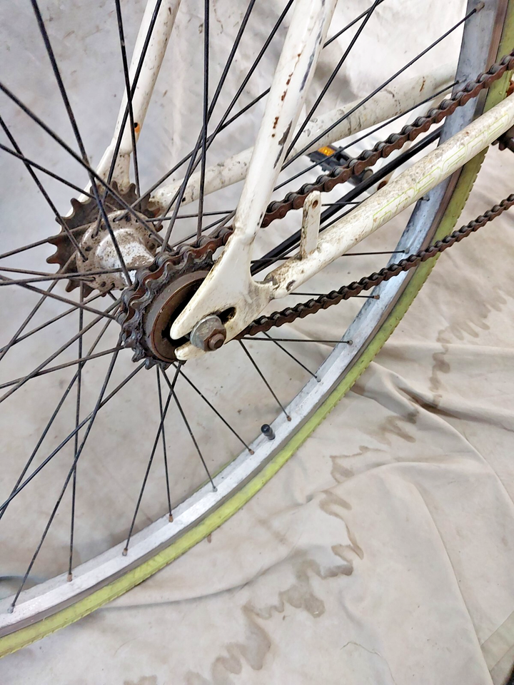 2010 Magna Fix-D FlipFlop Fixed Gear Bike 55cm Medium Fixie SS Steel ...