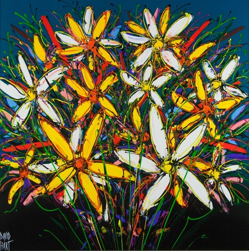 David HART 'Wild Flowers'-dark florals, Australian fine art ...