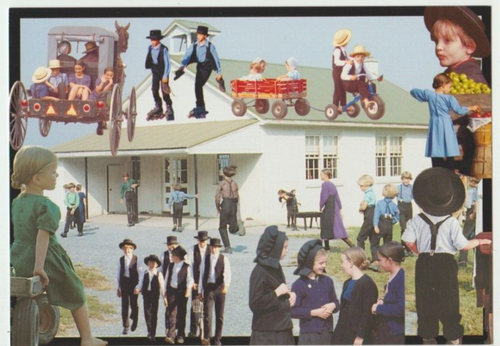 Amish Seasons Amish Children Pennysylvania Postcard P16 | eBay UK