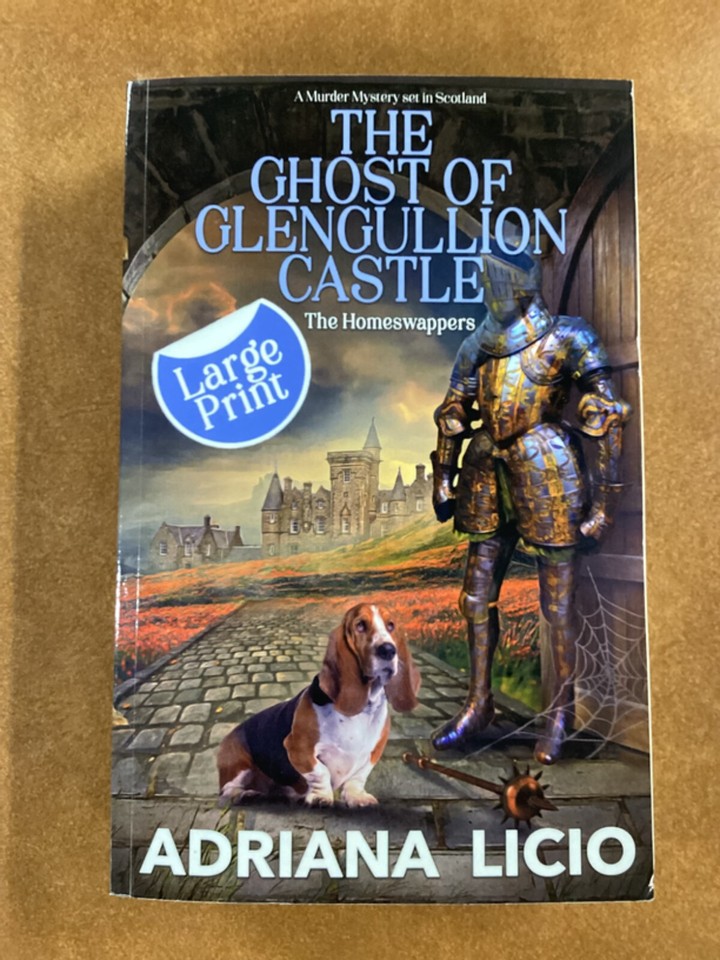 LARGE PRINT Fiction - various authors - Choose from author's first ...