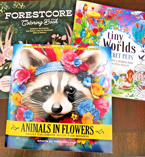 Adult Coloring Book Bundle with 2 Brand New Books / 1 Pre-owned (very ...