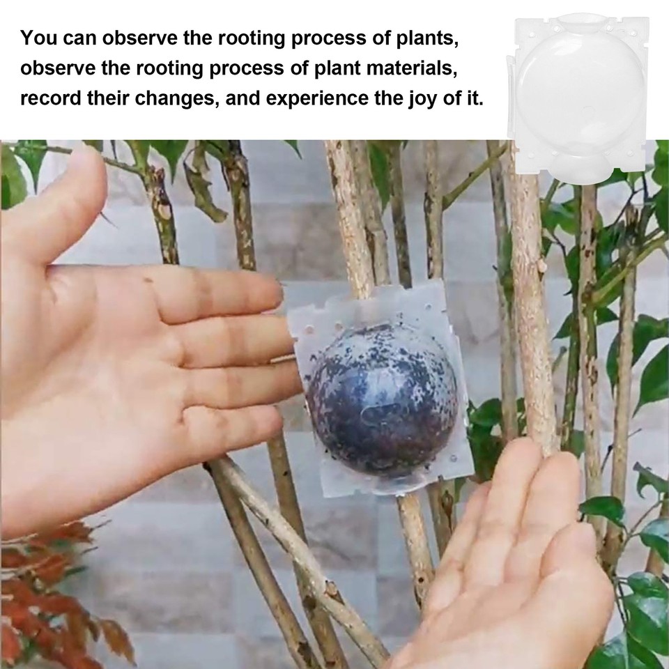 Plant Root Growing Box Reusable Air Layering Propagation Kit Plant ...