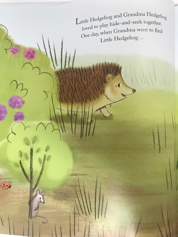 I Love My Grandma by David Bedford, Brenna Vaughan 9781472303042| eBay