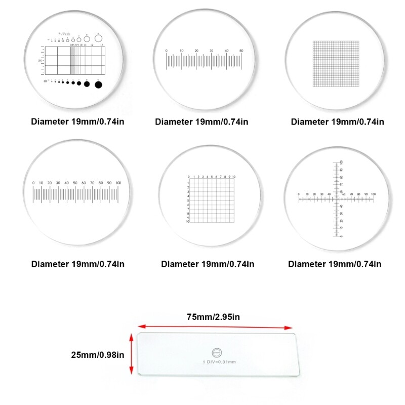 Microscope Stage Micrometer Ocular Reticle Eyepieces Calibration Ruler ...