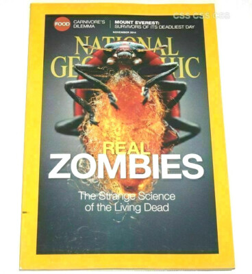 National Geographic Magazine Nov 2014 Strange Bugs Survive Mount ...