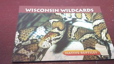 WISCONSIN WILDCARDS, MILK SNAKE, NATIVE REPTILES, 3-1/2" X 2-1/2" | eBay