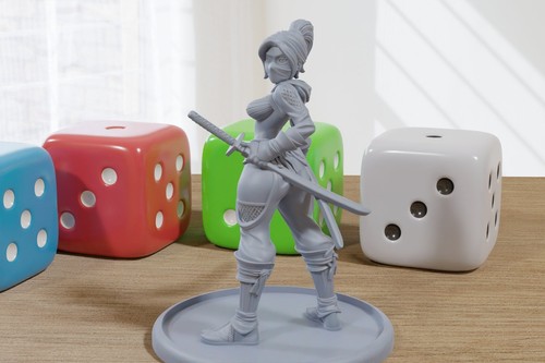 Ninja Sexy Pinup 3D Printed Minifigures for Fantasy Miniature Tabletop ...
