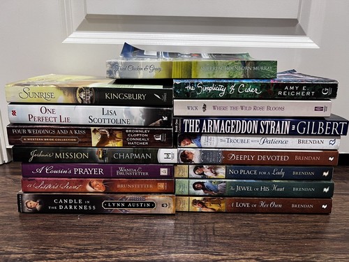Lot Of 16 Assorted Authors Womens Contemporary Christian Romance ...