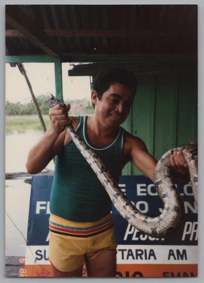 Handsome Man with Large Snake Smiling Joyfully Outdoor Adventure Photo ...