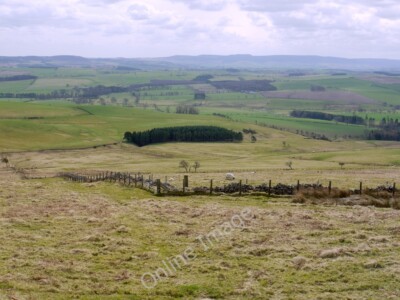 Photo 6x4 Field boundary south of Cochrane Pike Alnham Simonside Hill ...