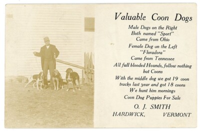 RPPC Hartwick Vermont Valuable "Coon Dogs" Full Blooded Hounds OJ Smith ...