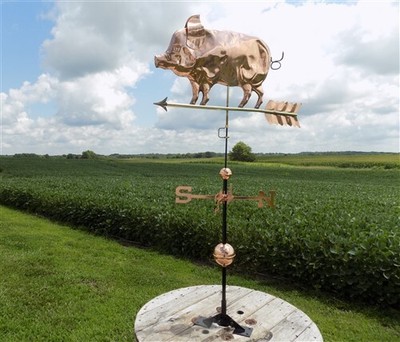 Weathervanes & Lightning Rods - Pig Weathervane - Vatican