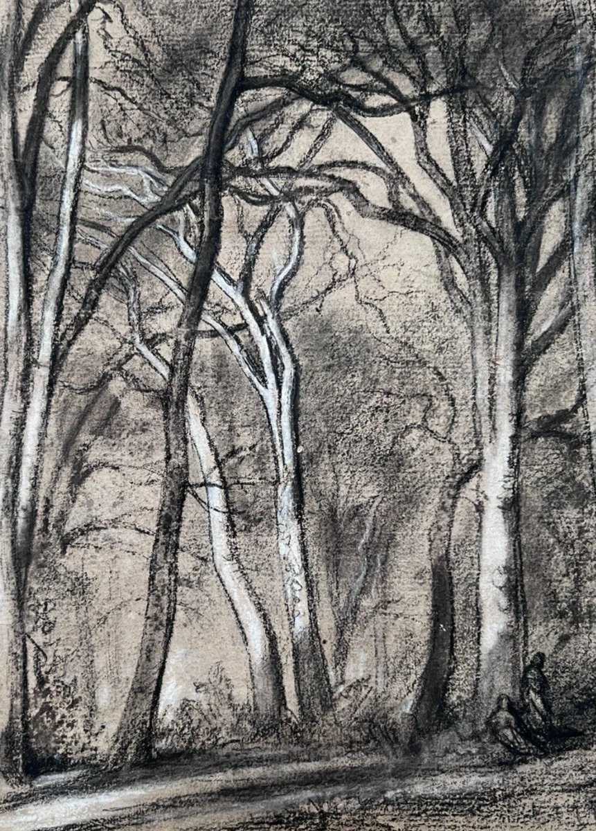 Dark Forest Pencil Drawing