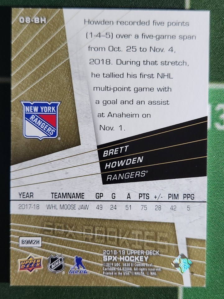 Brett Howden 2018-19 SPx 08-09 Retro Rookies /299 Rookie RC #08-BH | eBay