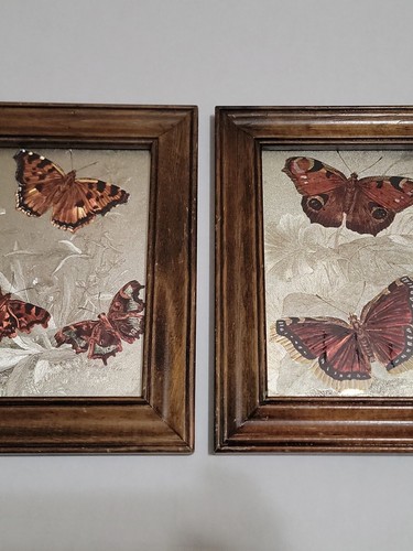 Lizars SC Butterflies Framed Foil Art Print Spectra Galleries | eBay