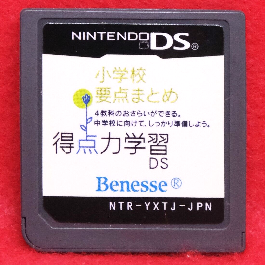 Summary of Elementary School Key Points Benesse Nintendo DS Games From ...