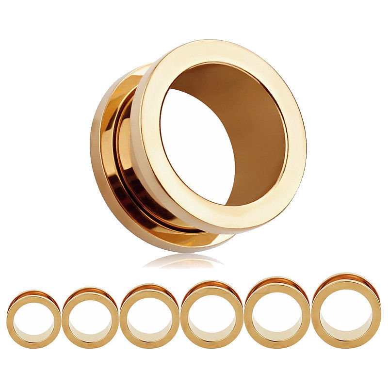 2PCS Steel Ear Tunnels Plugs Piercing Screw Double Flared Ear Gauges ...