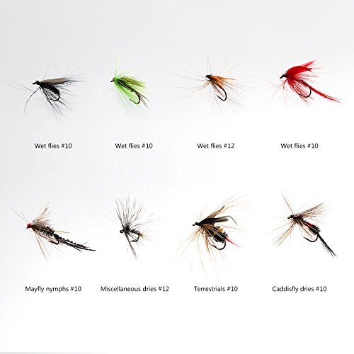 BASSDASH Fly Fishing Assorted Flies Kit, Pack of 64 pcs Including Dry and Wet | eBay