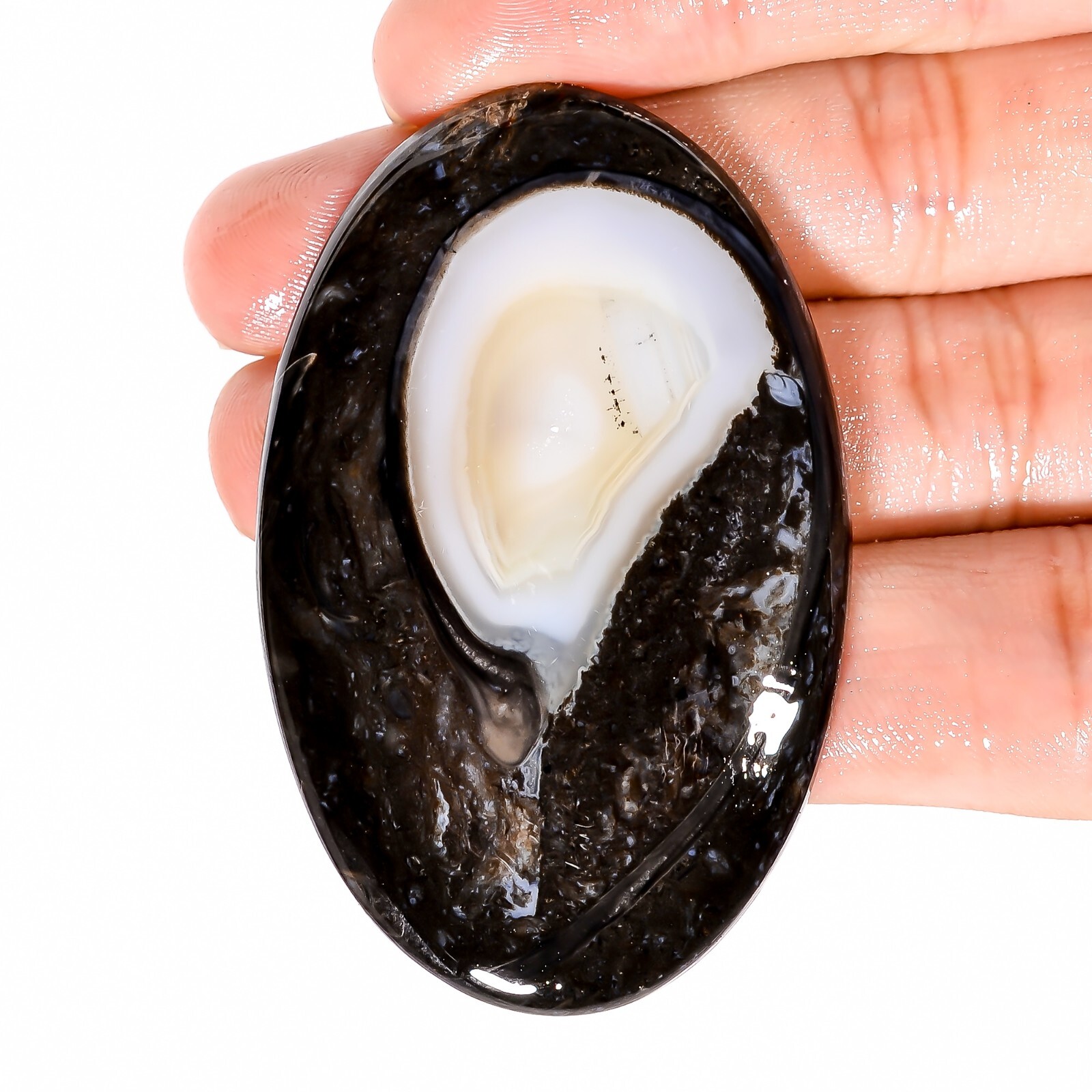 100% Natural Black Colus Fossil Gemstone OVAL Cabochon 107.45 CT ...