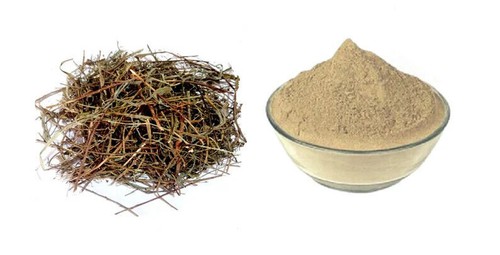 Bhumi Amla Powder-Phyllanthus Niruri-Raw Herbs-Bhumi Aamla-Bhoomi Awla ...