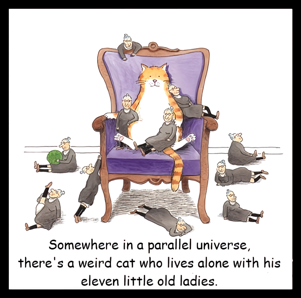 Somewhere In a Parallel Universe There's A Weird Cat Lives -MAGNET | eBay