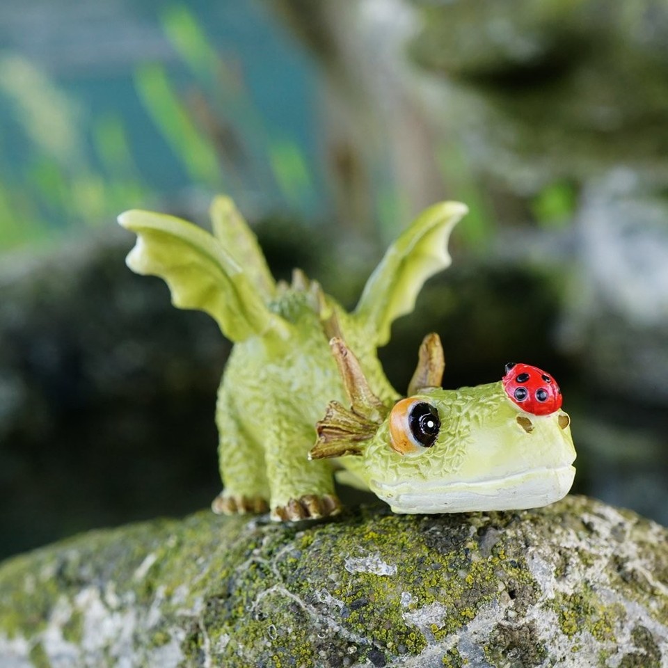 4414 Miniature Fairy Garden & Terrarium Mini Dragon Playing with ...