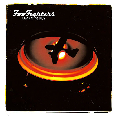 Foo Fighters Learn To Fly SINGLE 12x12 Album Cover Flat Poster Print | eBay