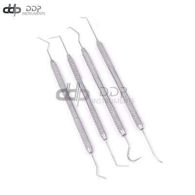 DDP Probe/Pick Set - Double Ended, Stainless Steel, 4 Pc | eBay