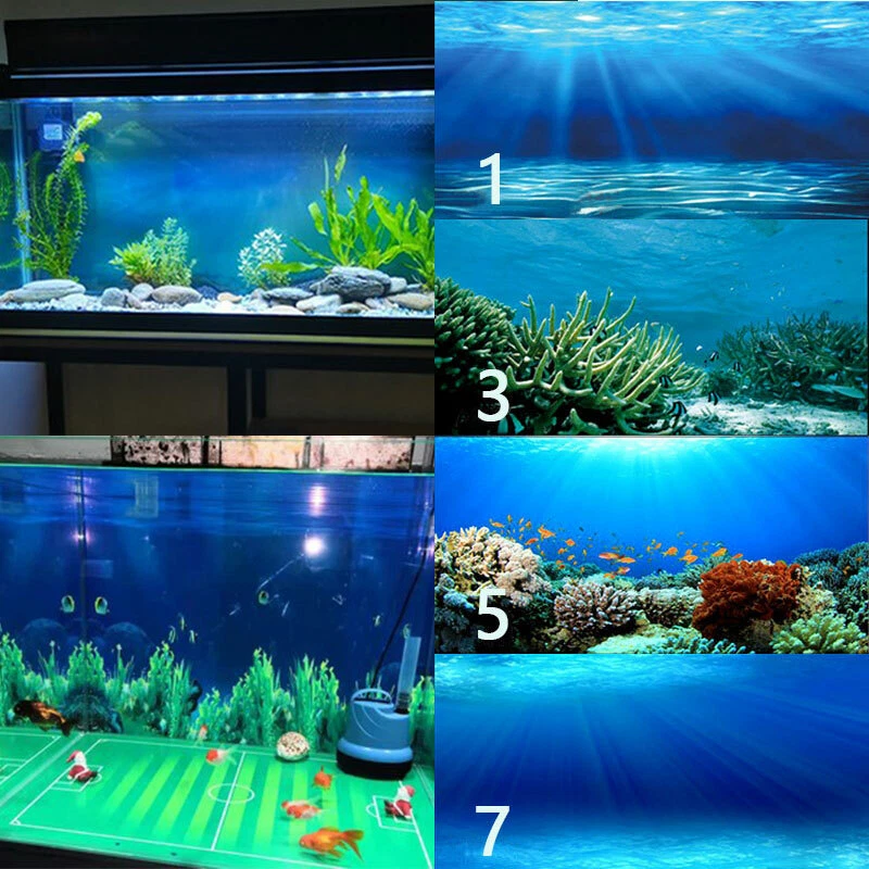 Tropical Fish Tank Wallpapers