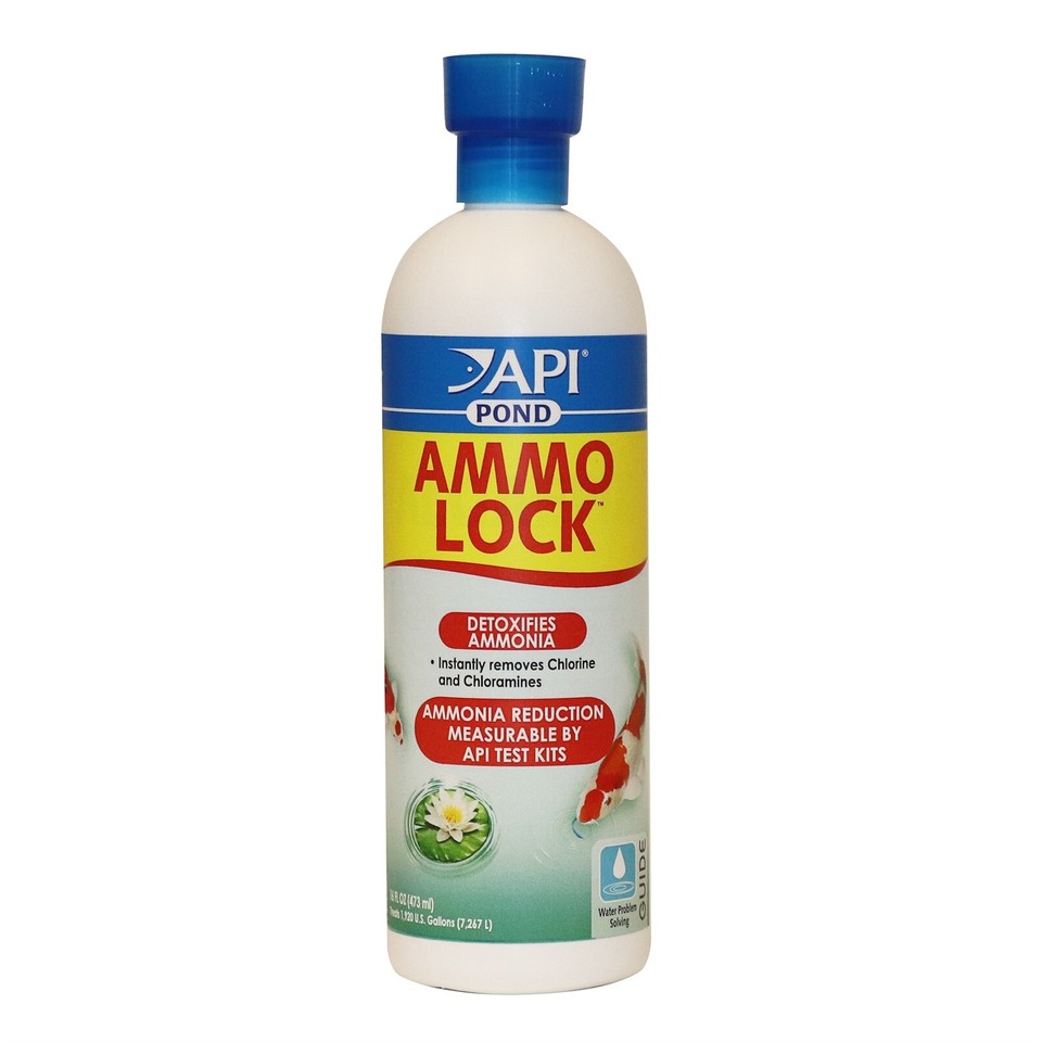 API Ammo Lock Ammonia Detoxifier for Ponds - 16 oz | eBay