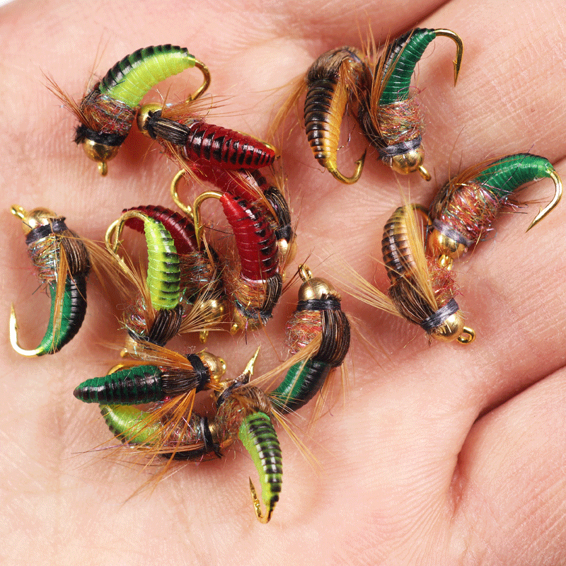 20x Wet Realistic Caddis Nymph Pupa Fly Flies Fishing Lures 12# | eBay