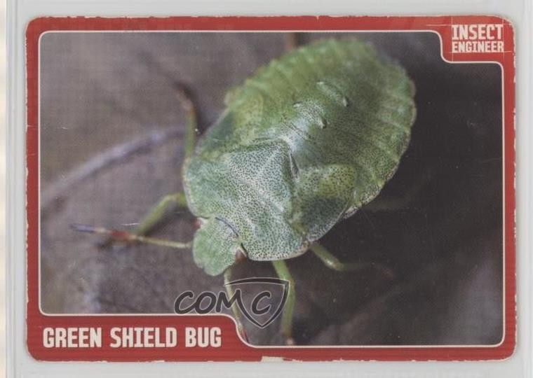2008 Chick-Fil-A Insect Engineer Kit Cards Restaurant Green Shield Bug ...