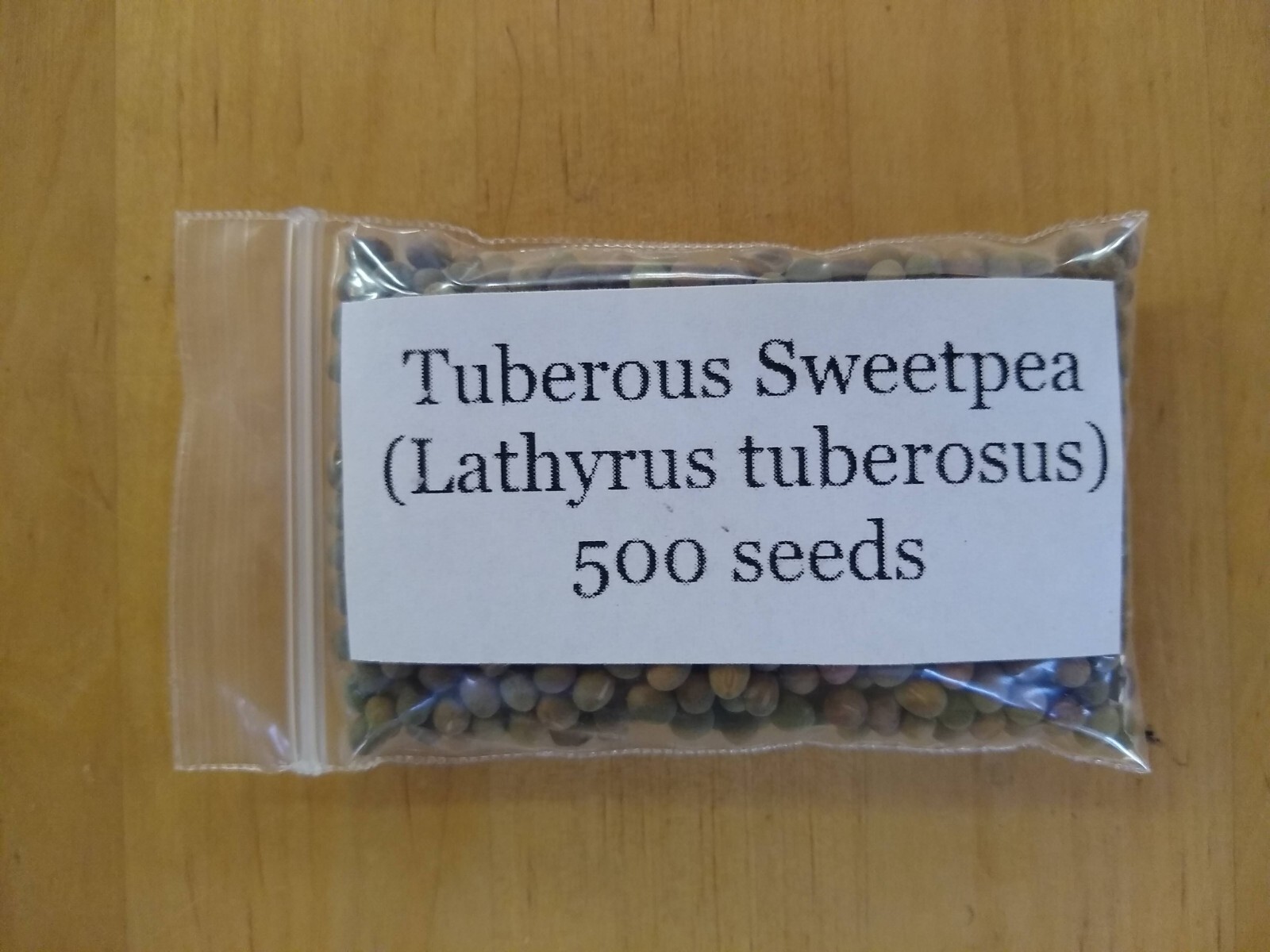 Tuberous Sweetpea Seed (Lathyrus tuberosus) | eBay