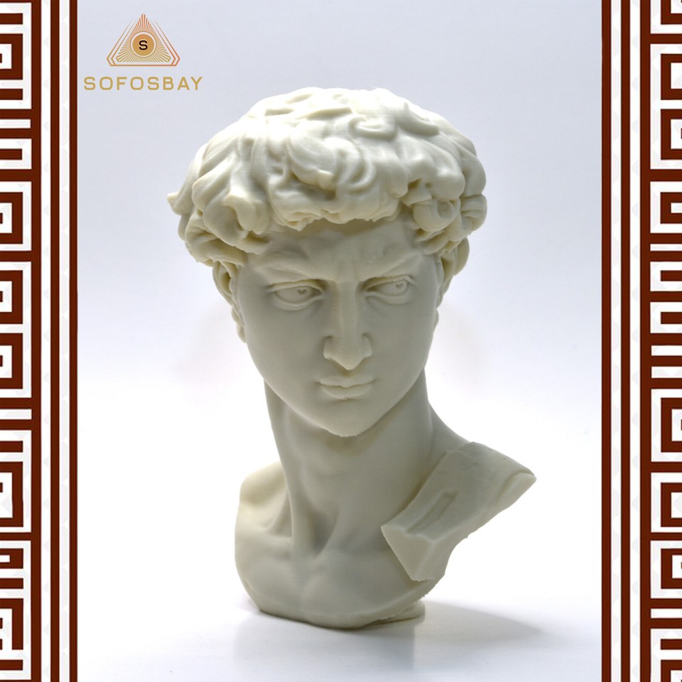 Head of David - Italian Renaissance Sculpture - David by Michelangelo ...