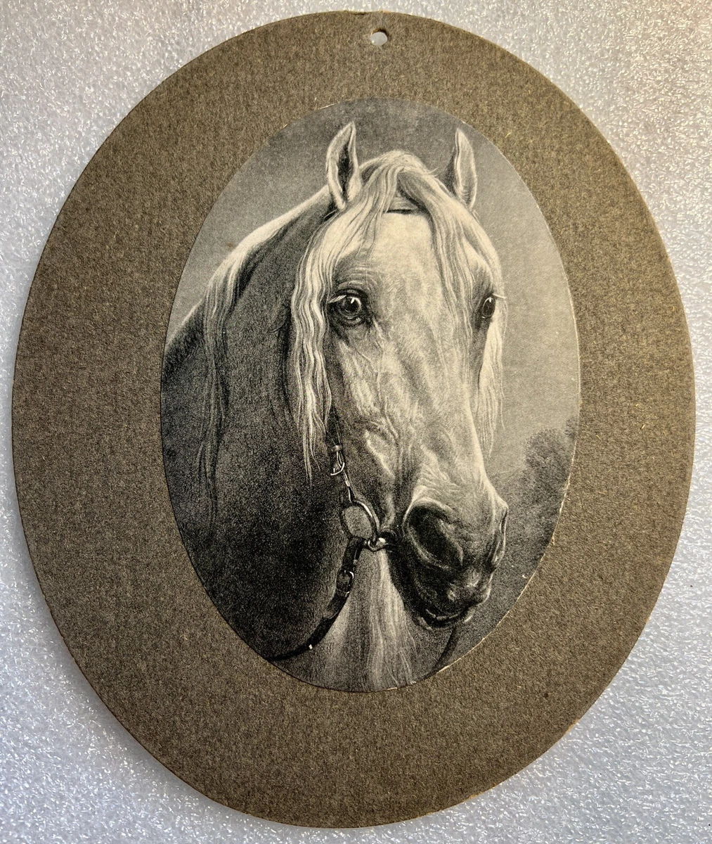 Charging Horse Drawing