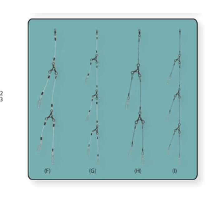 H&H Coastal Tackle Snapper Grouper Rig 2 Hook High/low 3 Packages | eBay