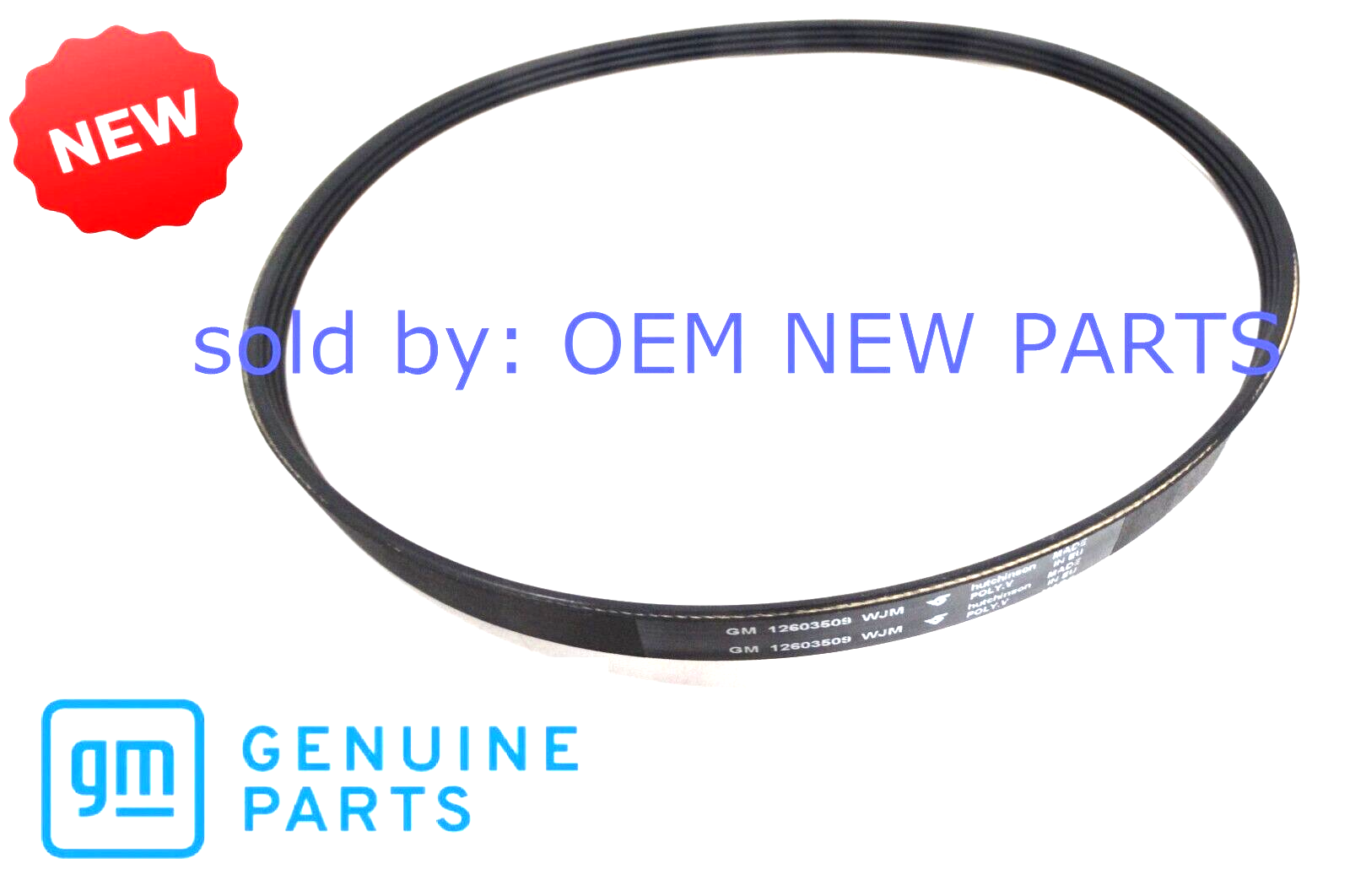 2008-2015 GM Trucks A/C Compressor Belt New OEM 12603509 19178068 ...