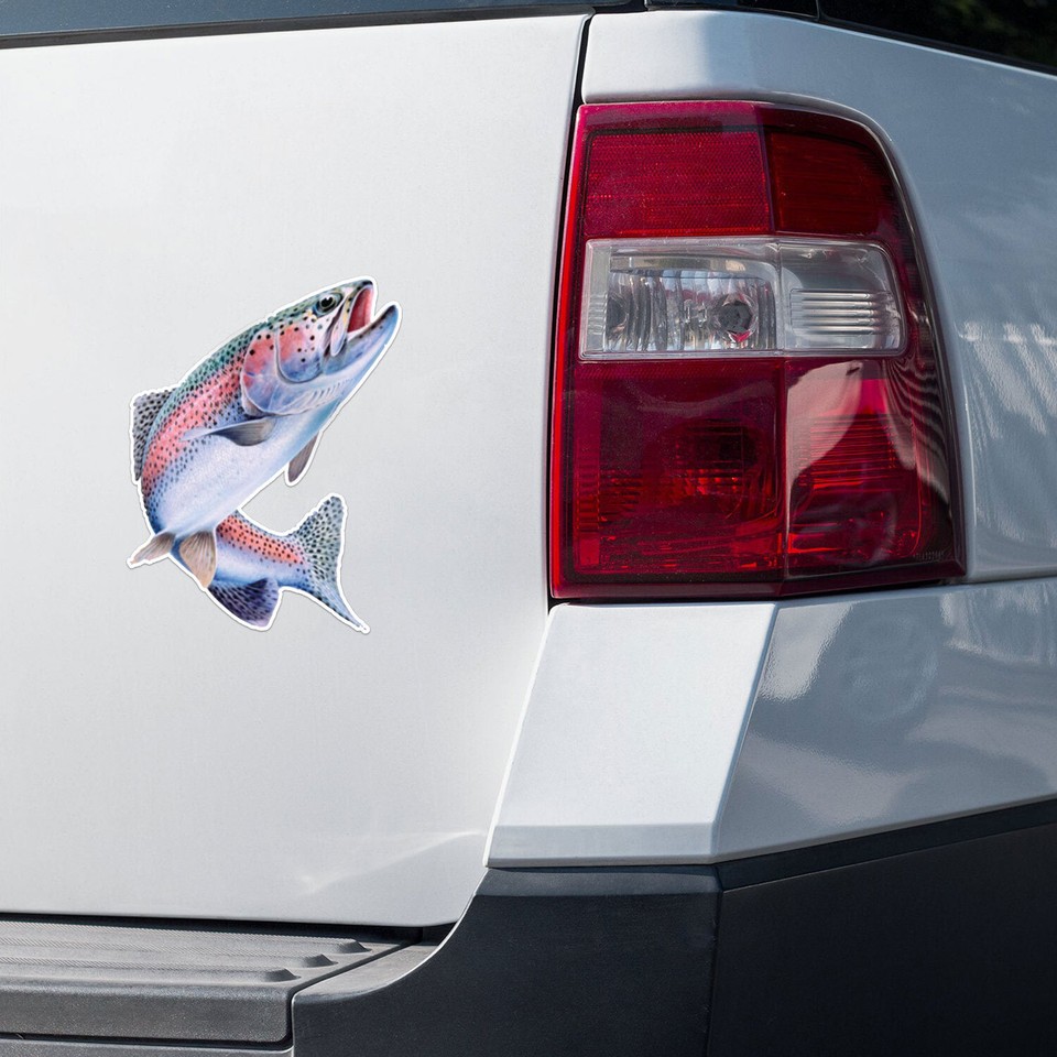 Rainbow Trout Fish Sticker Vinyl Car Bumper Decal | eBay