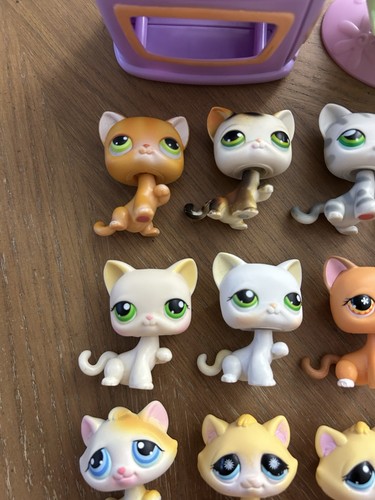 Littlest Pet Shop LPS Kitten Shorthair Cats #11 27 32 74 98 456 539 547 ...