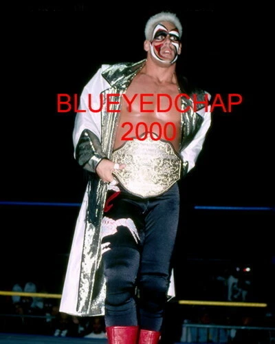 Wcw Sting Champion