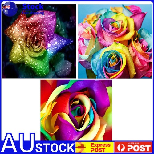 Rose 5D DIY Rhinestones Diamond Painting Embroidery Kits Cross Stitch ...