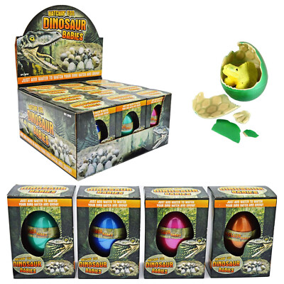 Magic Hatching Dinosaur Babies Egg Kids Dino Water Magic Growing Toy ...