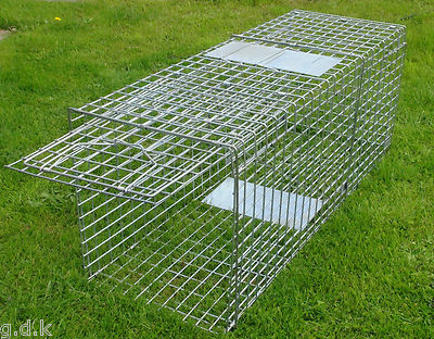 44” ,LARGE FOLDING FOX TRAP,HUMANE TRAP, 44" INCH, GALVANISED, DOG, GDK ...