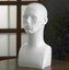 Amazing Mannequin Head Display Head Dummy Shop Window Male Female Black ...