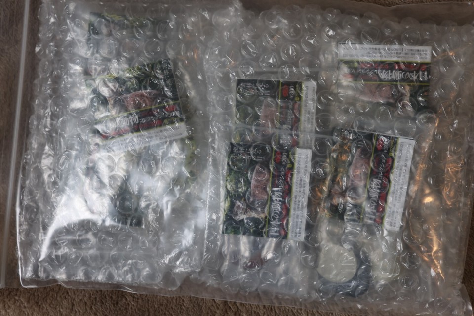 Kaiyodo Capsule Q Museum CQ animal set moth isopod/sowbug shark turtle ...